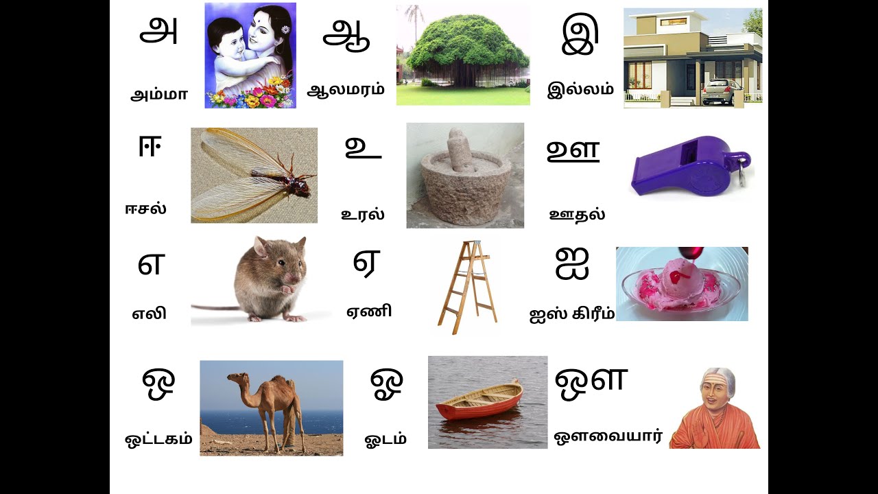 உயிர் எழுத்துகள் | Tamil Alphabets Letters |Learn Tamil Basic |அ ஆ இ ஈ ...
