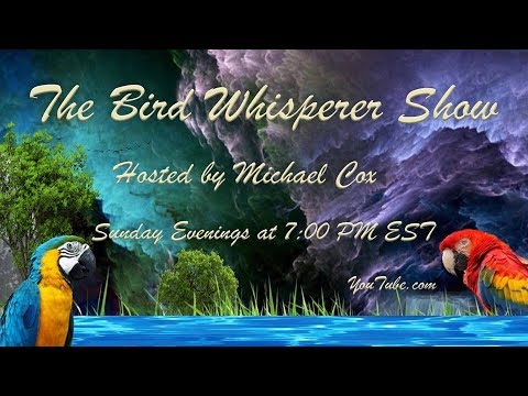 April Adcock of Parrot Playhouse - YouTube