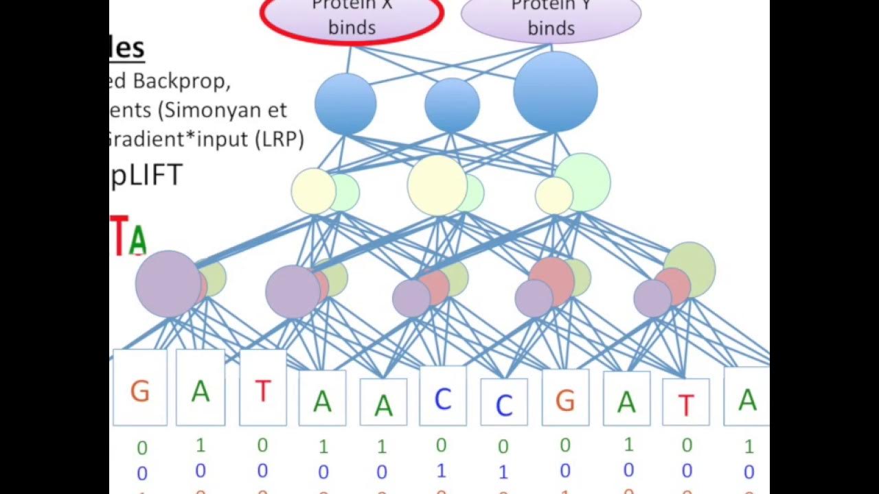 DeepLIFT Part 2: Existing approaches - YouTube