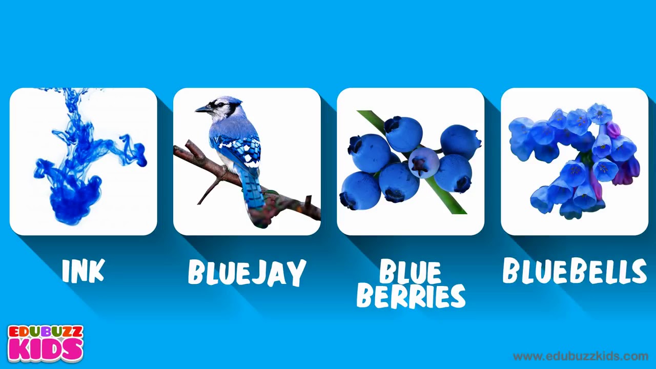 Color Songs Collection Vol. 1 - Learn Colors, Teach Colours, Baby ...