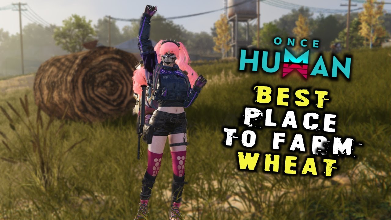 Best Wheat Farming Spot in Once Human! - YouTube