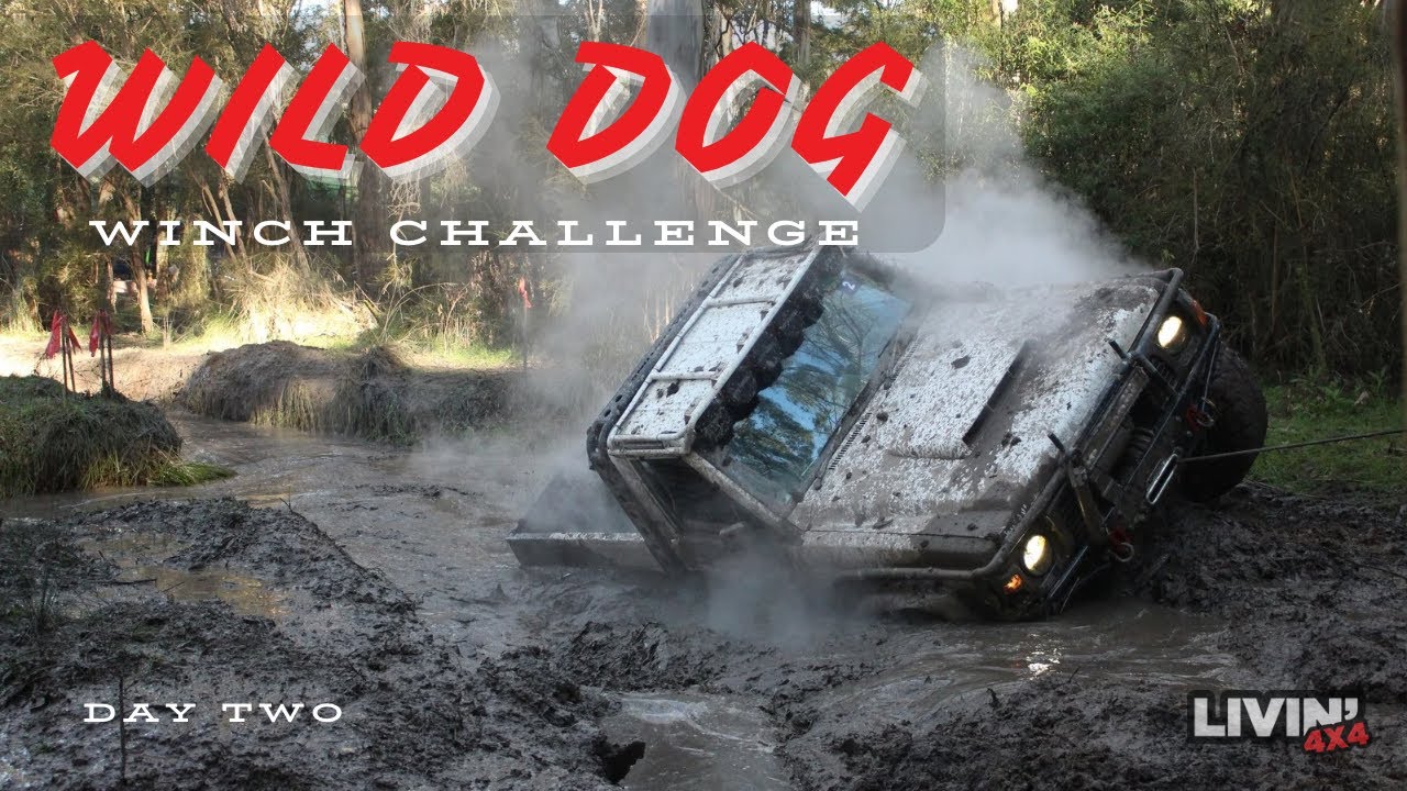 Wild Dog Winch Challenge 2024 | Sunday Stages - YouTube