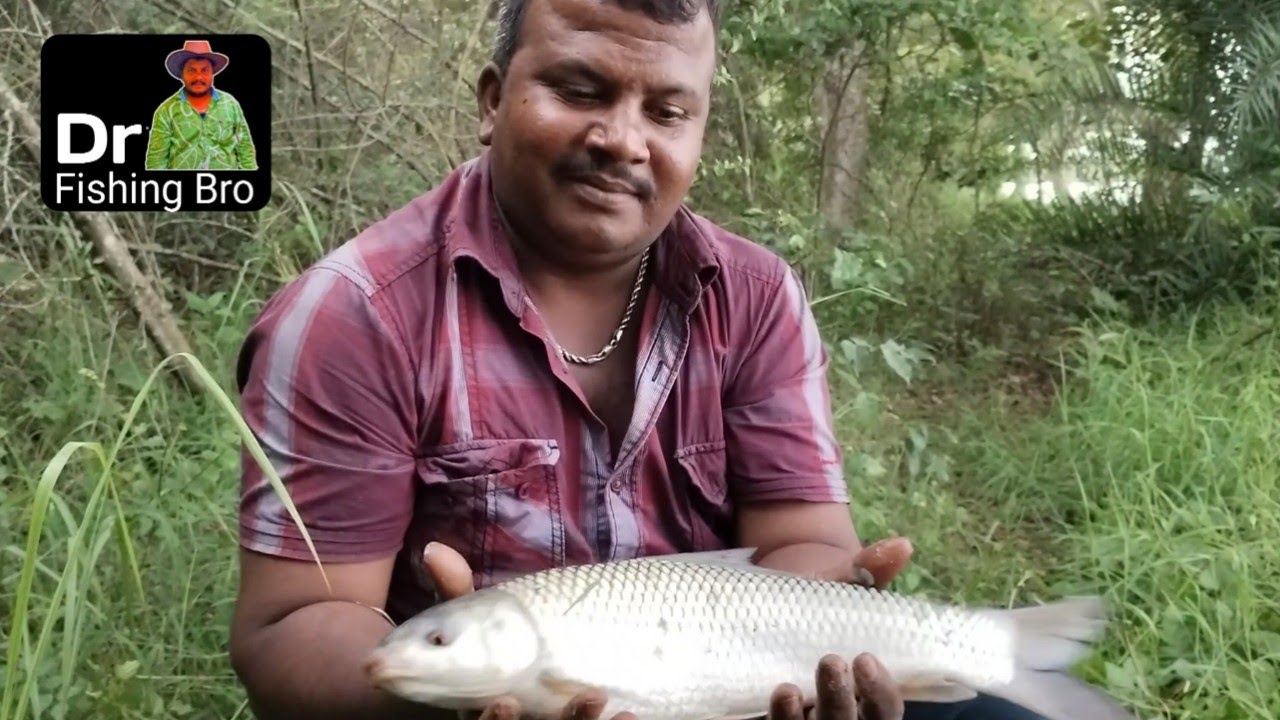 Dr Fishing Bro 🎣 Hook 🪝 Fishing | Fishing Video | Fish Hunting ...