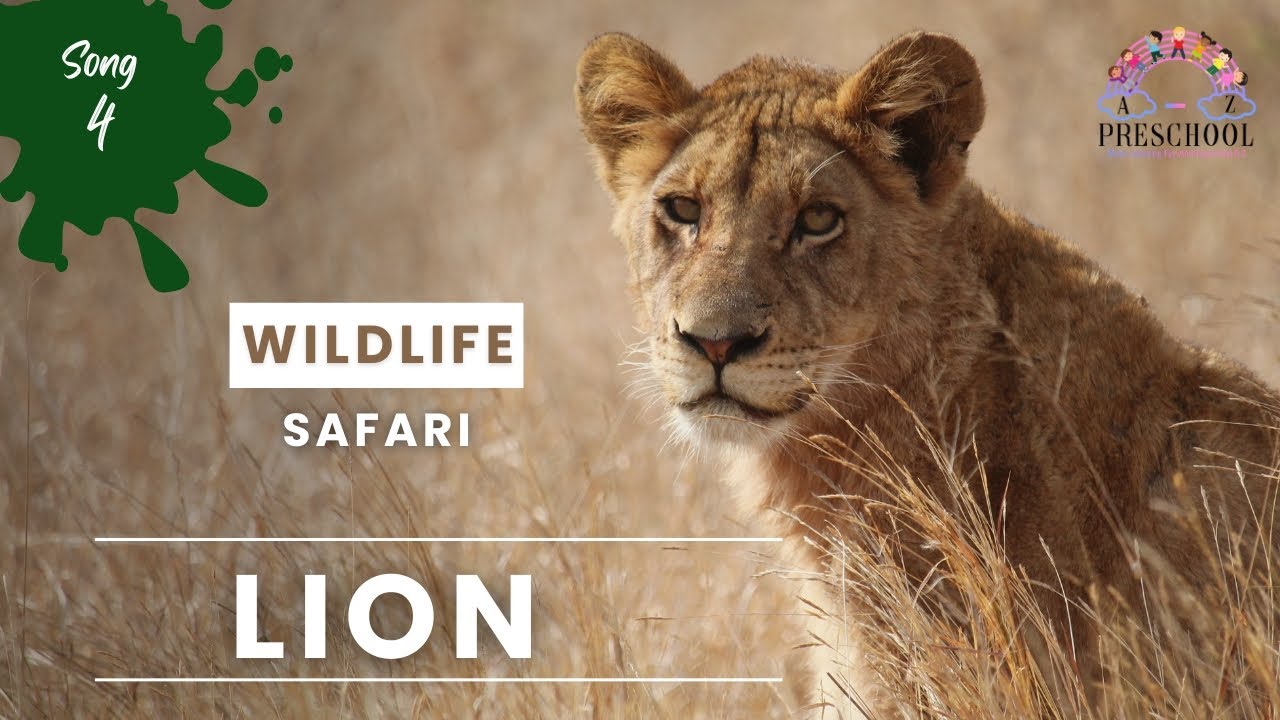 Lion Legends: Songs of the Savanna | Lion Afrobeat | Animal Sing-a-long ...