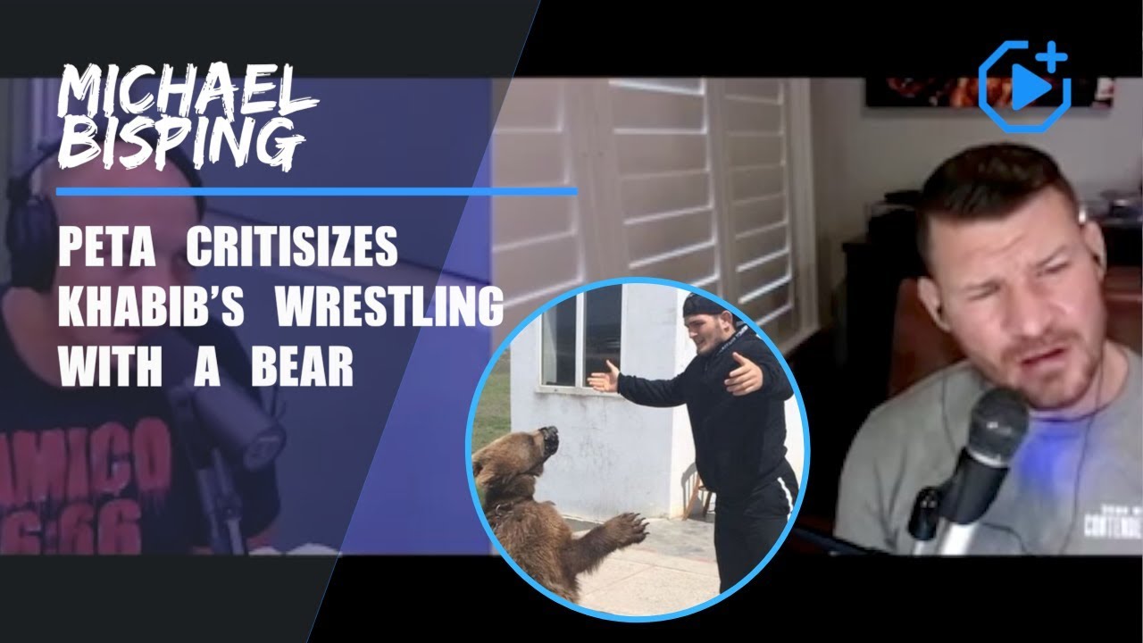 Michael Bisping Reacts to PETA Critisizing Khabib Nurmagomedov for wrestling a bear | Octagon ...