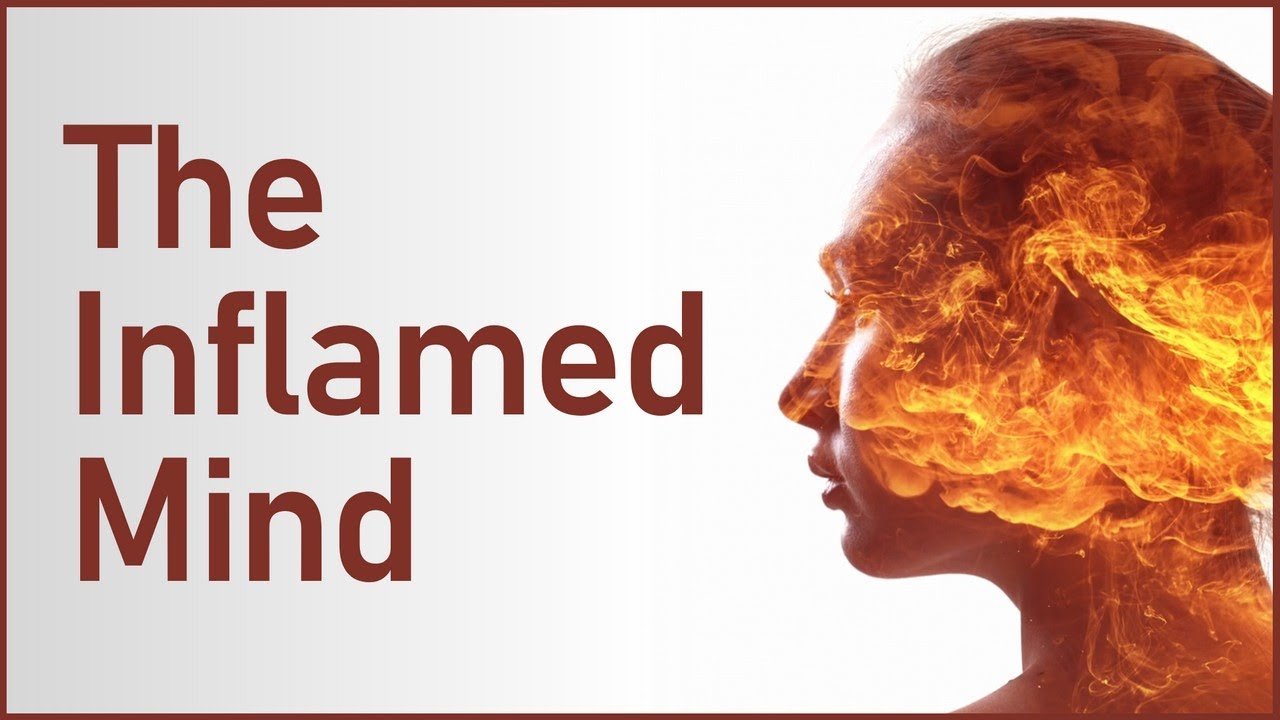 The Inflamed Mind - YouTube