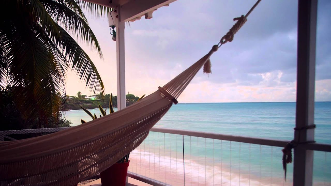 Morning in Barbados - YouTube