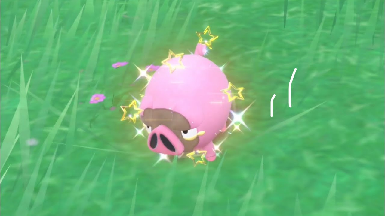 The game gave me a free shiny Lechonk at the start | Pokémon Scarlet ...