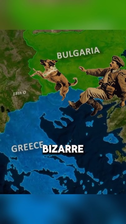 Dog caused war in Europe?? 🇪🇺🐕 - YouTube