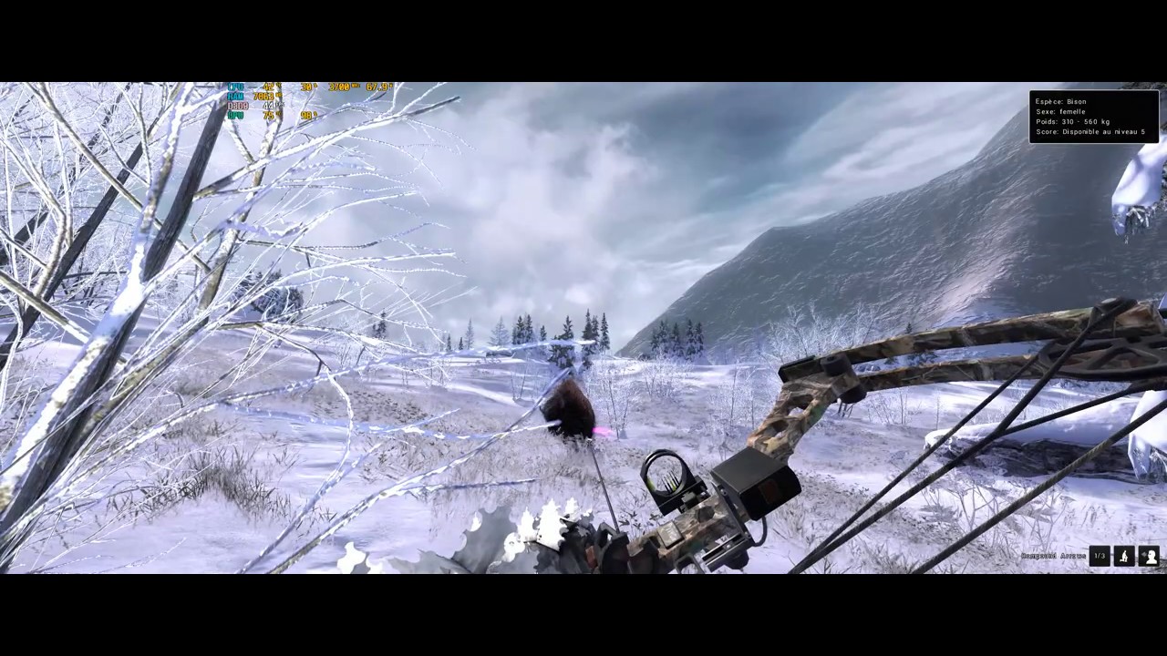 BISON TUE A L ARC THE HUNTER CLASSIC - YouTube