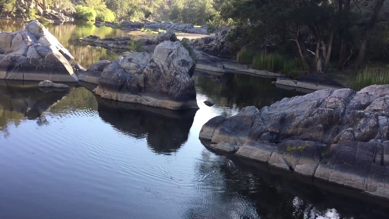 Gorge country Murray cod... my new pb! - YouTube