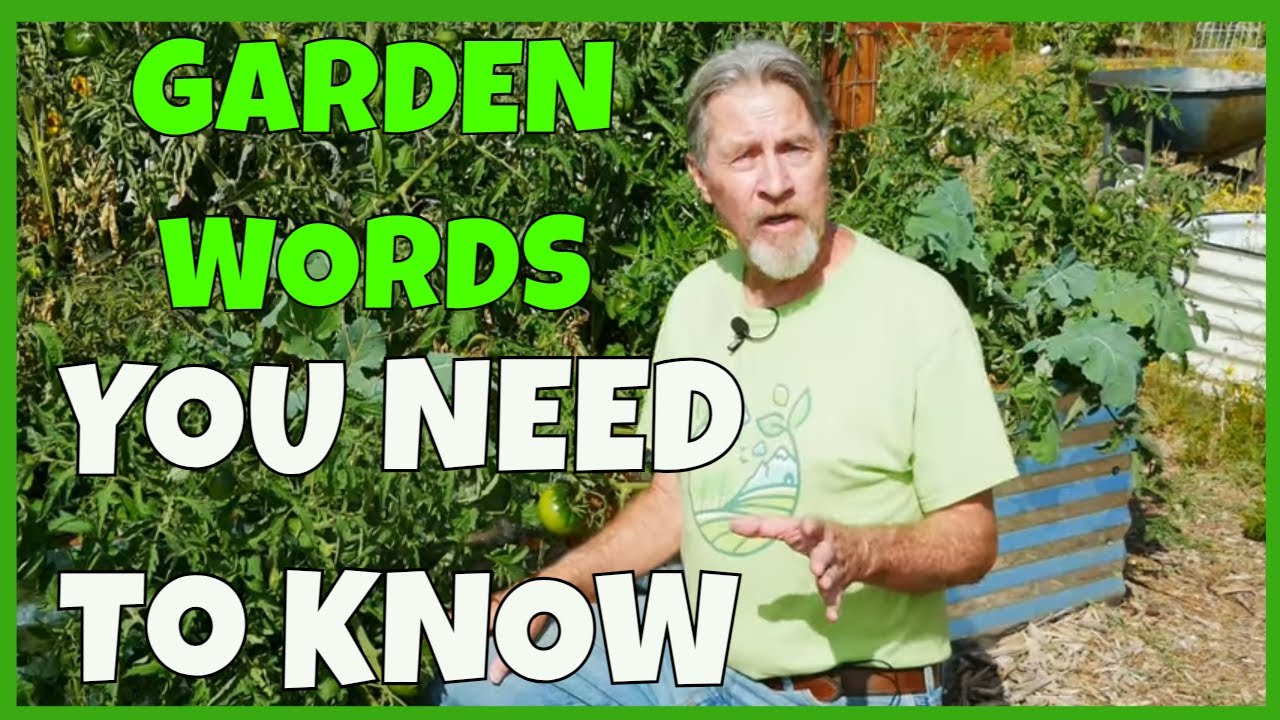 10 Gardening Definitions You Should Know YouTube 10-gardening-definitions-you-should-know-youtube