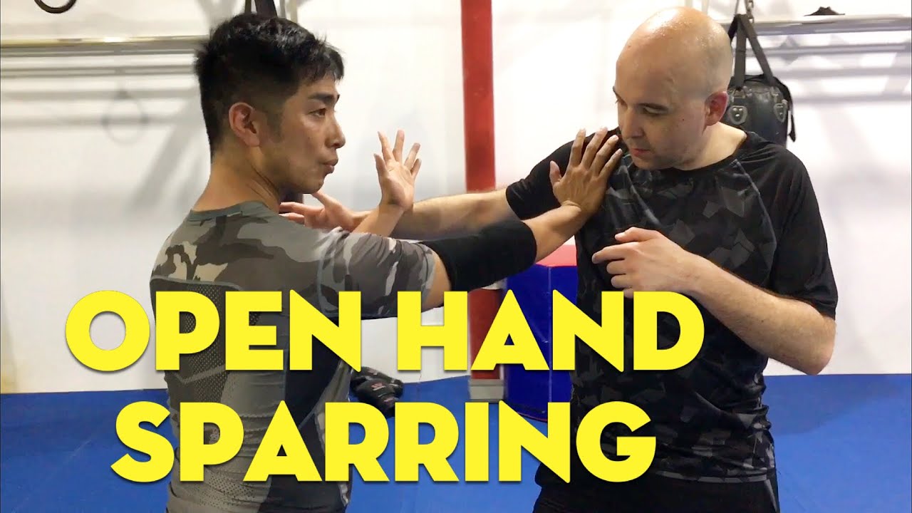 Open Hand Sparring: Bagua vs Wing Chun vs MMA - YouTube