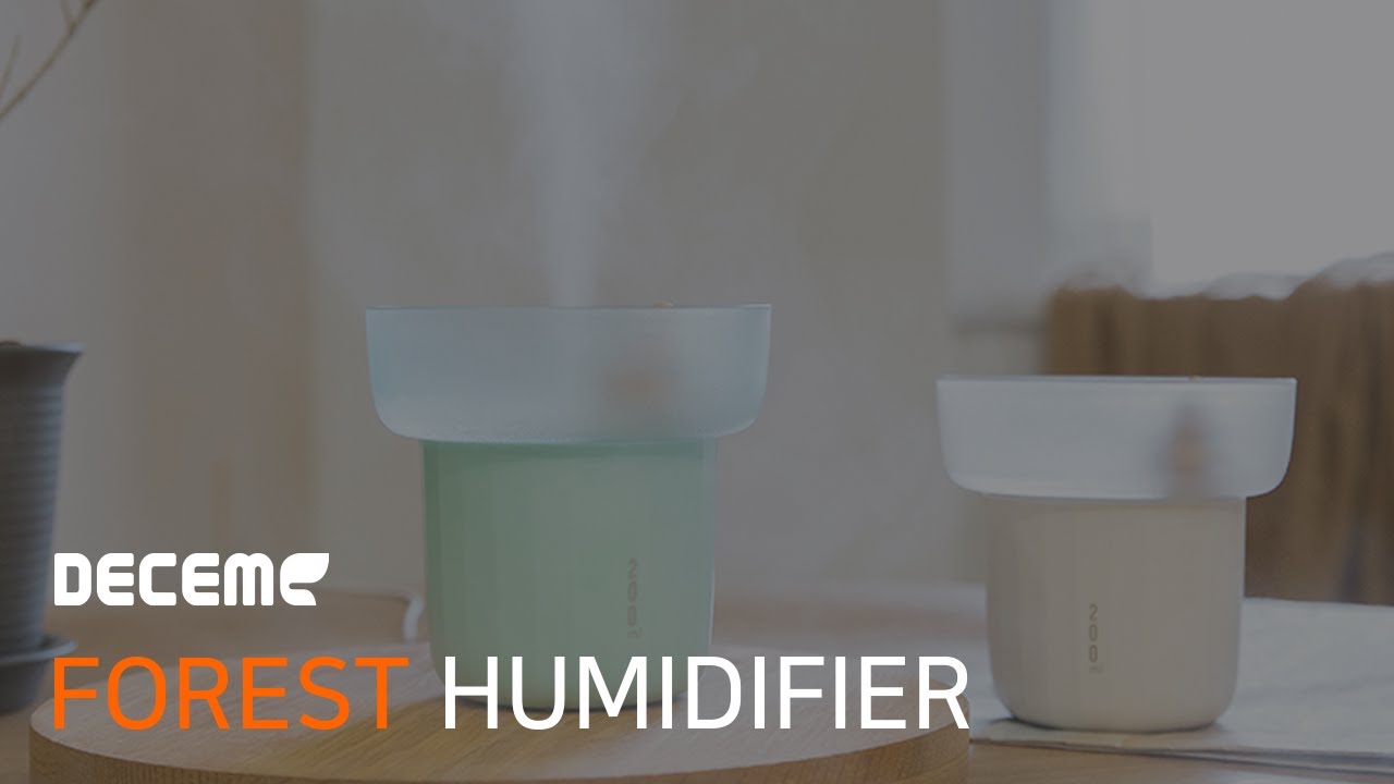 디셈 포레스트 가습기 LED LIGHT + HUMIDIFIER - YouTube