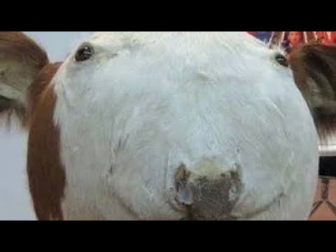 Send this to your friends with no context