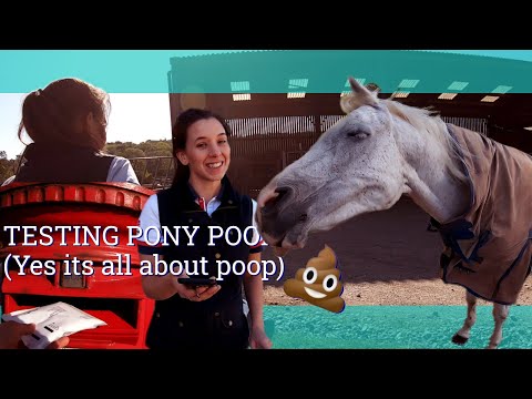 Testing Pony Poo (Yes, it's about poop!) - Vlog 44 - Beth Endurance