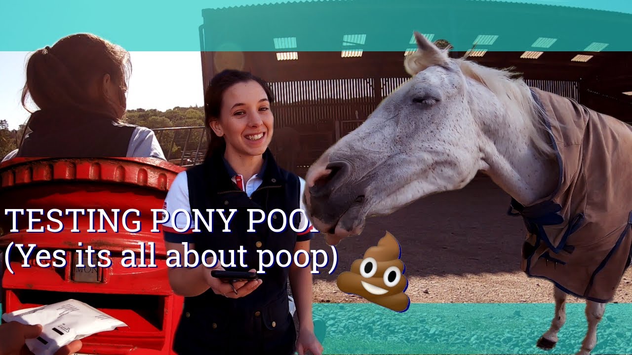 Testing Pony Poo (Yes, it's about poop!) - Vlog 44 - Beth Endurance ...