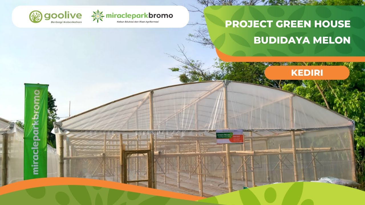 S1 E1 - Project GH Melon Kediri - YouTube
