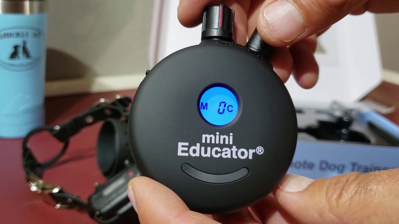 The Mini Educator ET300 E Collar Lesson on functions - YouTube
