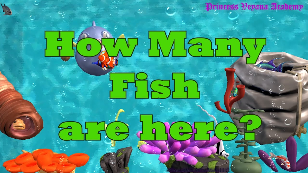 Counting Fish in Aquarium Game. - YouTube