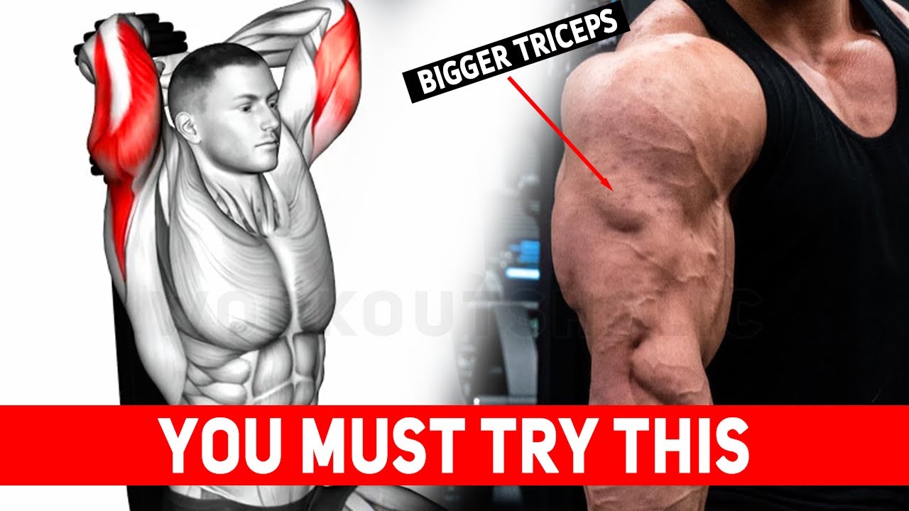 6 Triceps Exercises You Must Try - Gym Workout Motivation - YouTube