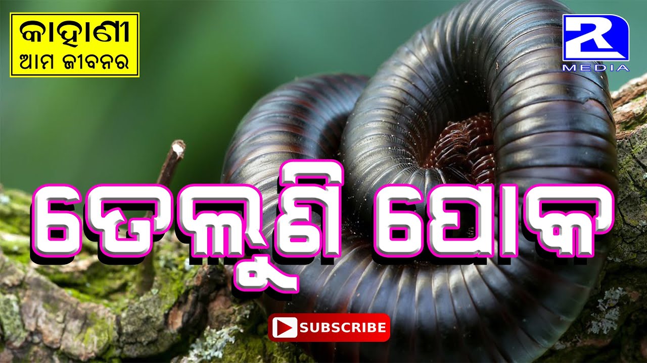 Teluni Poka | Kahani Ama Jibanara | Odia Story | ତେଲୁଣି ପୋକ | କାହାଣୀ ଆମ ...
