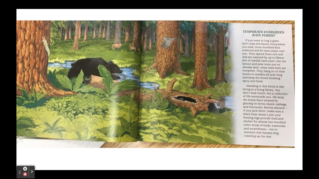 Many Biomes, One Earth - YouTube