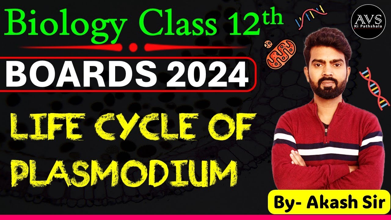 Life Cycle of Plasmodium | 29 February Class 12th Biology Most ...