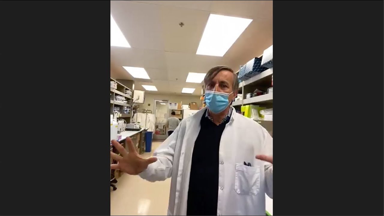 Coronavirus Updates: Live from the Laboratory with Alessandro Sette, Dr ...