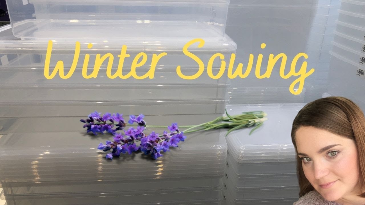 Easy Winter Sowing Method you should try Now! - YouTube