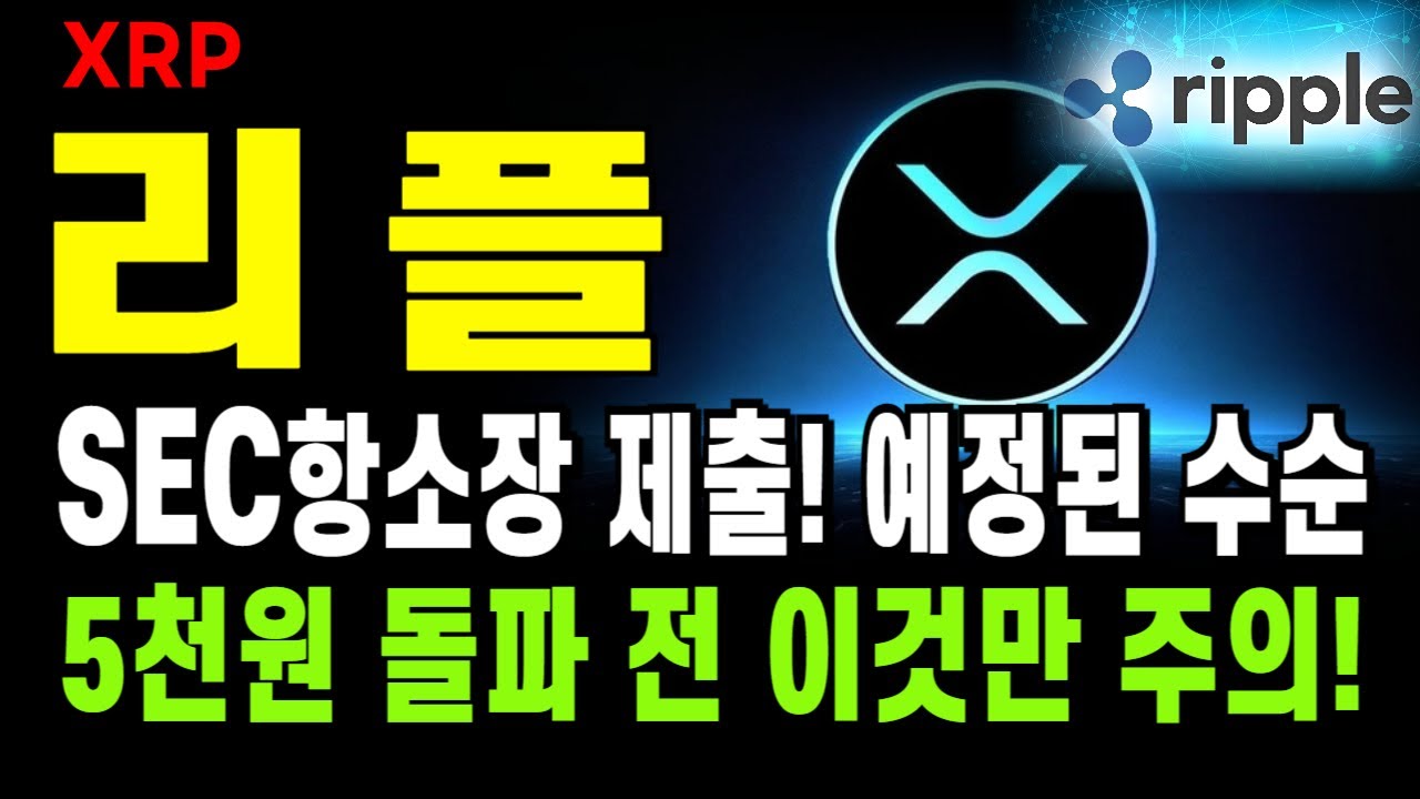 리플 코인전망 Sec항소장 제출로 악재는 다 나왔다 본게임은 이제부터 시작 당연한 결과 리플 리플코인 리플전망