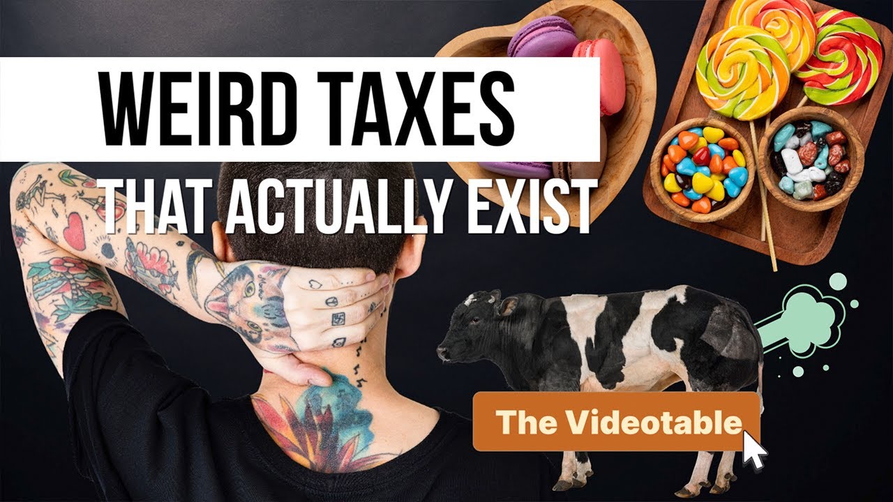 Weird taxes that actually exist 🤔 🎥Videotable🎥 - YouTube