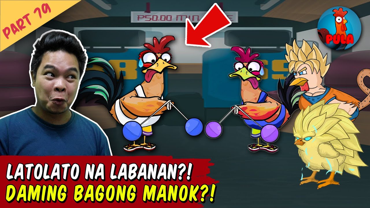Manok na LatoLato Isa sa Mga Bagong Manok! - Manok na Pula - ViDoe