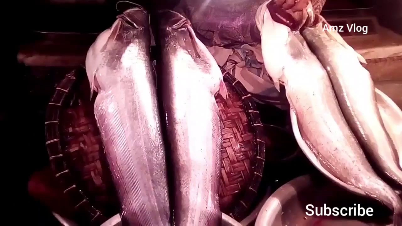 Bondor Bazar | Fish Market | Sylhet | Bangladesh - YouTube