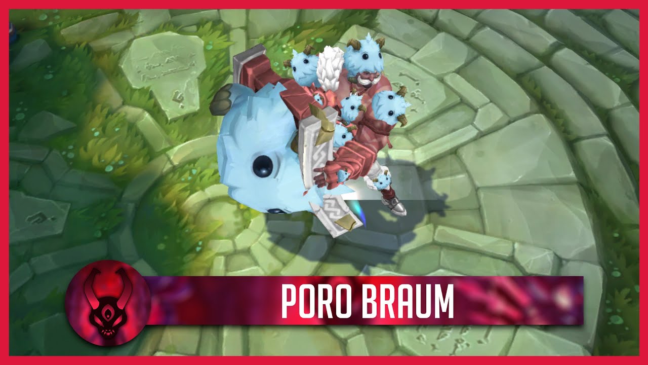Braum Skin