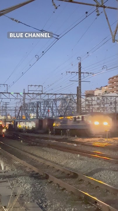 (貨物列車) 2025/02/23 1084レ EF210-350 + コキ19B (大阪タ〜仙台タ) #Shorts - YouTube