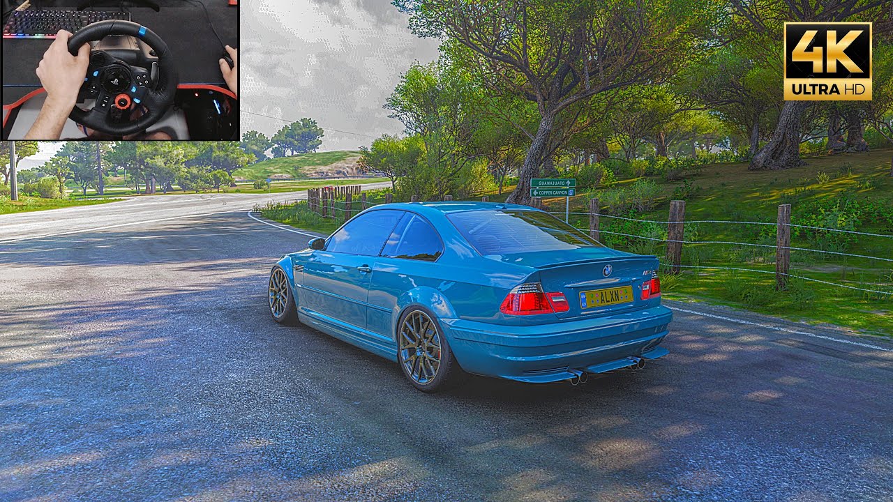 BMW M3 E46 | Forza Horizon 5 | Logitech g29 Gameplay - YouTube