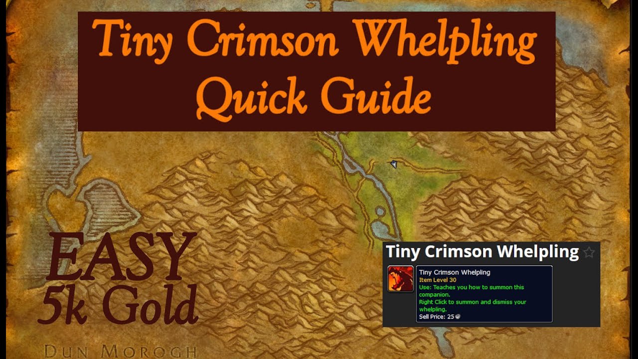 WotLK: EASY 5k+ Gold Pet Farming - Tiny Crimson Whelpling - YouTube