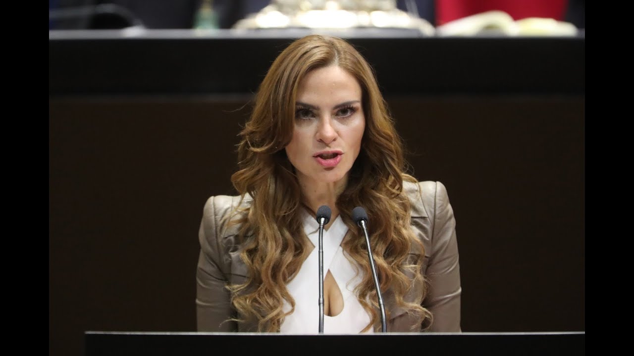 Dip. Diana María Teresa Lara Carreón (PAN) / Presentación de Reservas ...