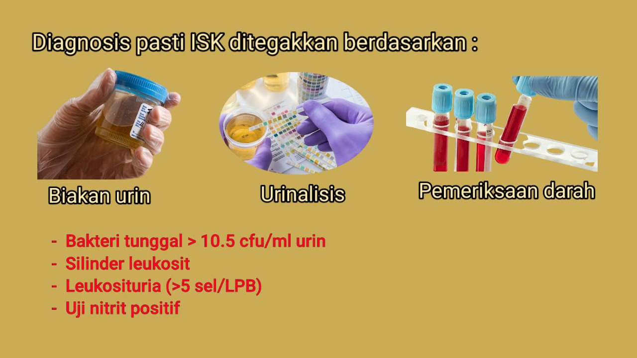 Bulletin Disease : ISK (BEM FK UNTAD) - YouTube