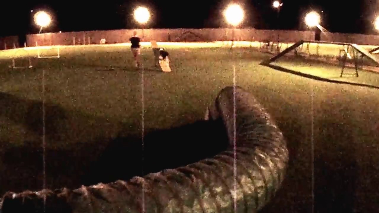 Feather Blu agility - June 1, 2015 - 03 - YouTube