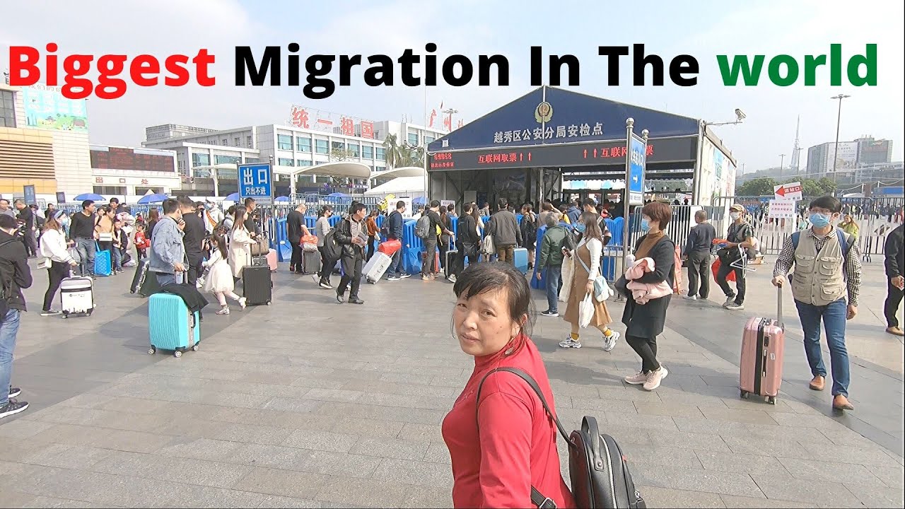 Biggest Migration In The World - YouTube
