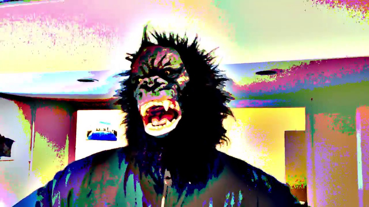 KAPA vol.1 the official pre-movie - YouTube