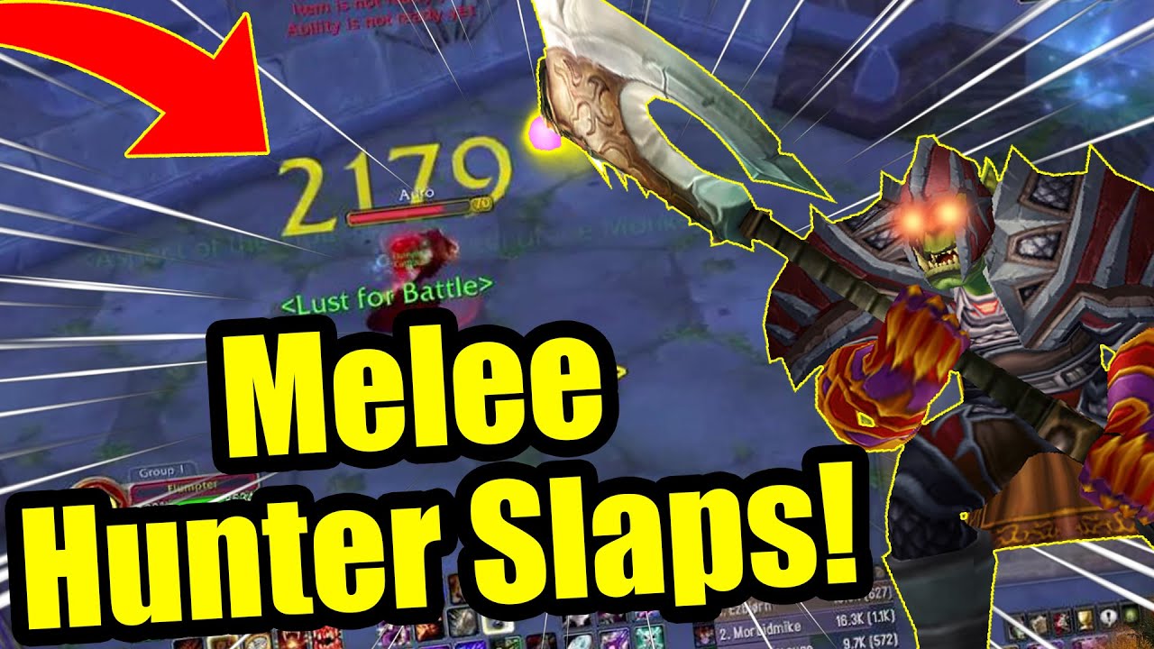 MELEE HUNTER OWNS? PvP Montage - YouTube