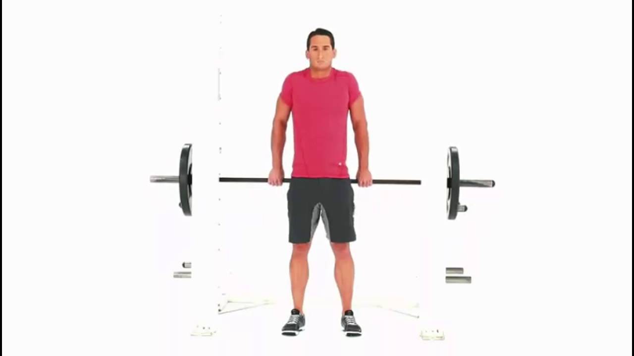 Behind the Back Smith Machine Shrug Exercise - YouTube