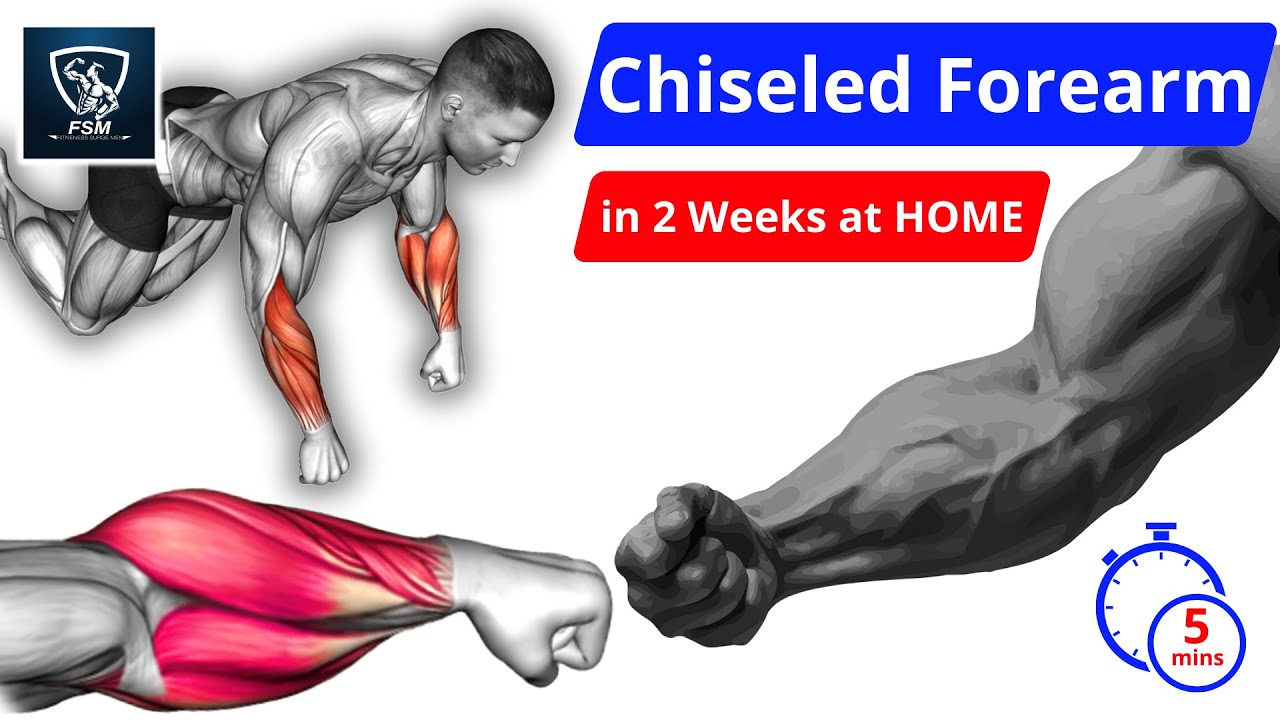 Get Chiseled Forearms in 5 Minutes! DO THESE 6 Home GYM Exercises ...
