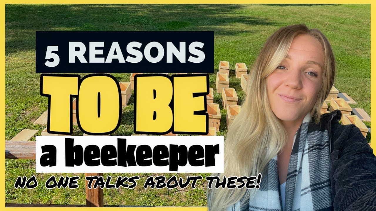 WHAT You Should Know BEFORE BECOMING A BEEKEEPER! / Beekeeping 101 # ...