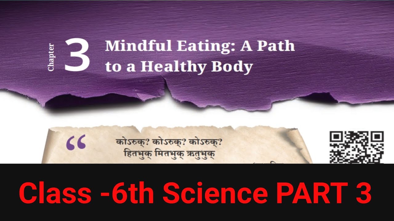 Chapter 3 Mindful Eating | Class 6th science | Curiosity New Ncert Book ...