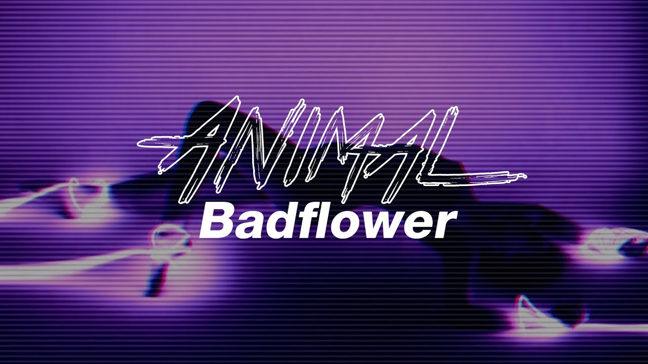 Animal - Badflower [Sub español | Lyrics video] - YouTube