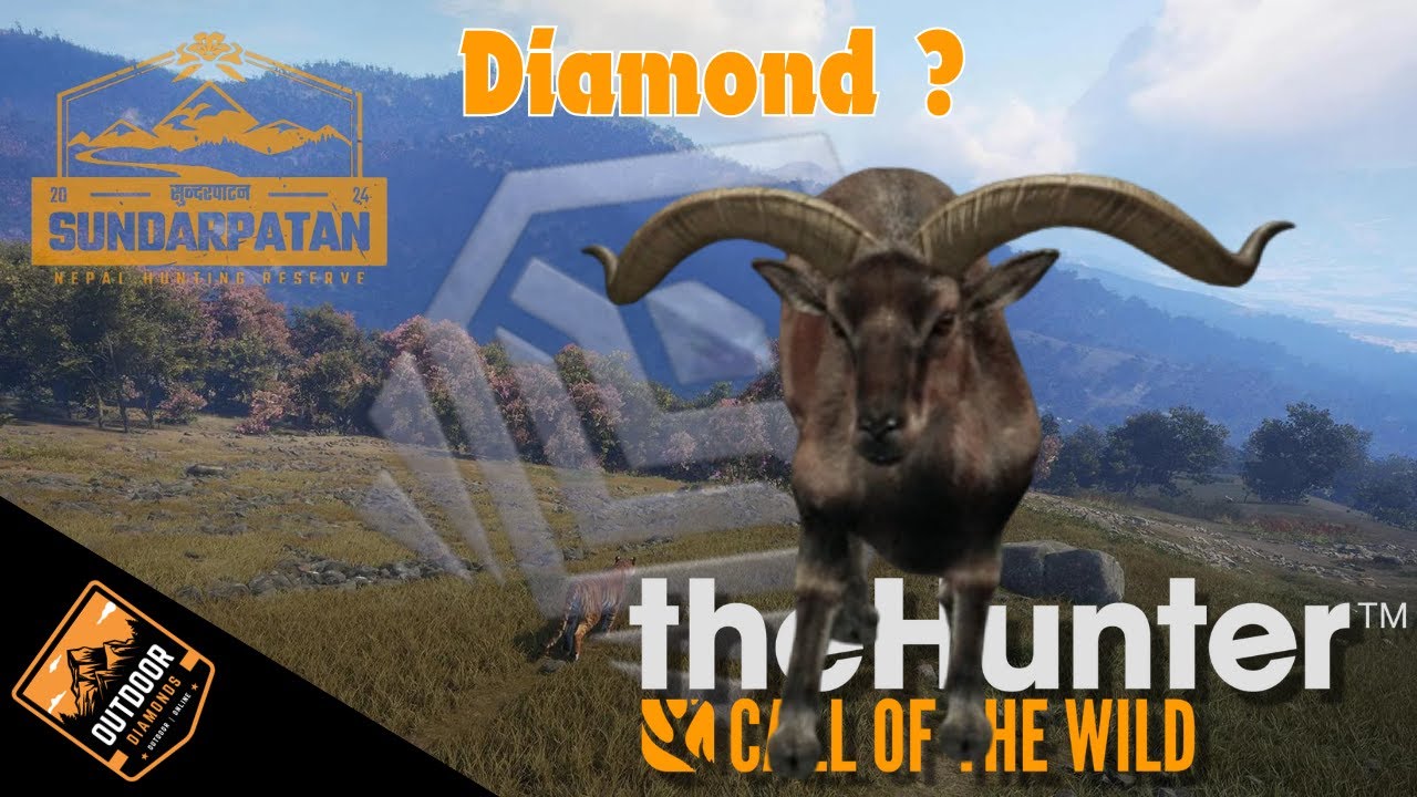 Diamond Blue Sheep | Sundarpatan | Call Of The Wild - YouTube